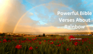 30 Bible Verses About Rainbow: A Symbol of God's Promise - PrayerLit