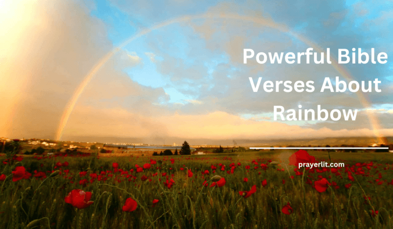 30 Bible Verses About Rainbow: A Symbol of God's Promise - PrayerLit