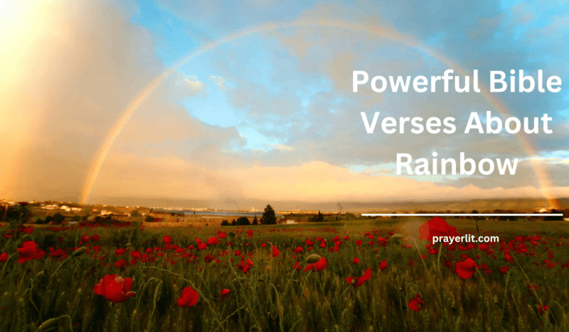 30 Bible Verses About Rainbow: A Symbol of God's Promise - PrayerLit