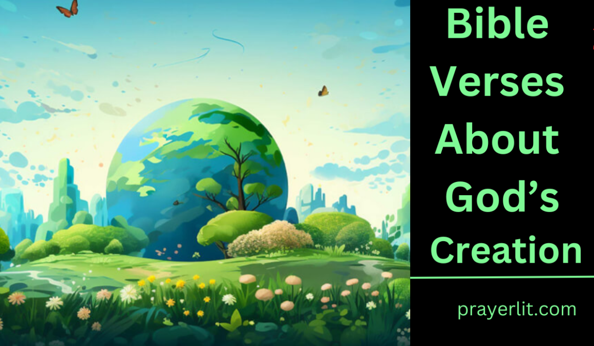 30 Beautiful Bible Verses About God's Creation (2025) - PrayerLit