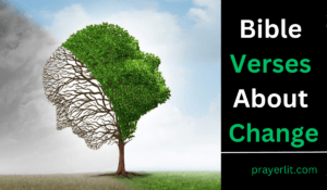 30 Powerful Bible Verses About Change (2026) - PrayerLit