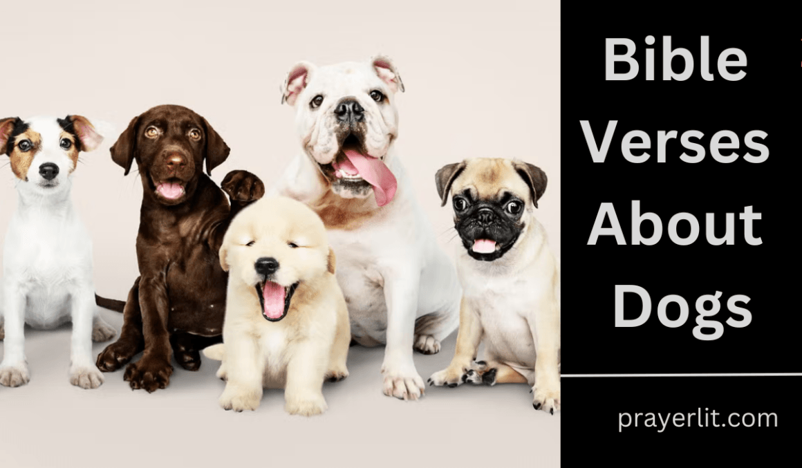 30 Powerful Bible Verses About Dogs - PrayerLit