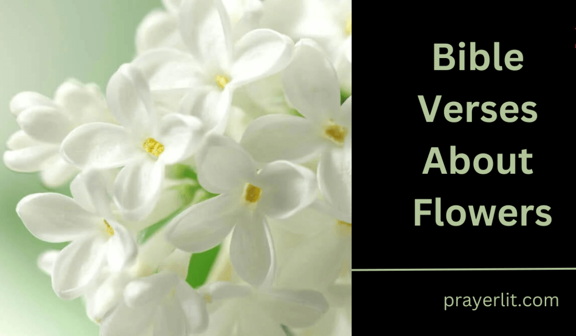 30 Beautiful Bible Verses About Flowers (2025) - PrayerLit