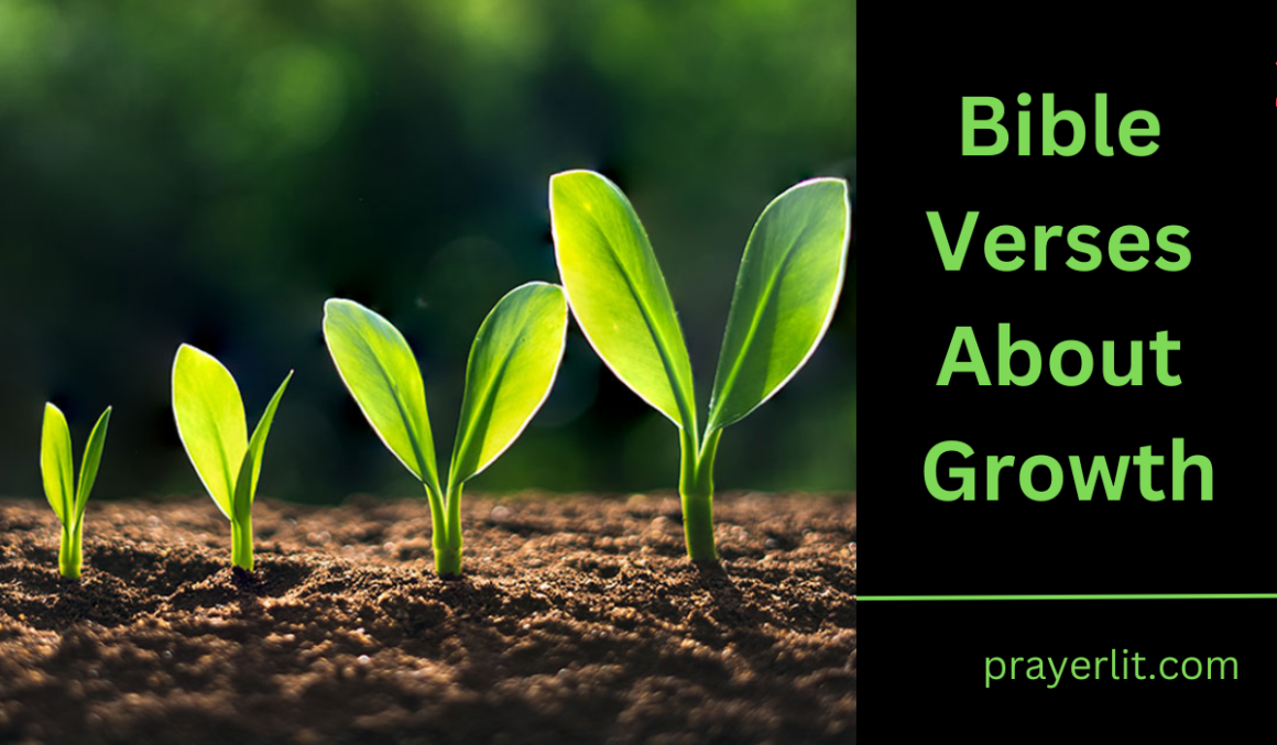 30 Most Effective Bible Verses About Growth (2025) - PrayerLit