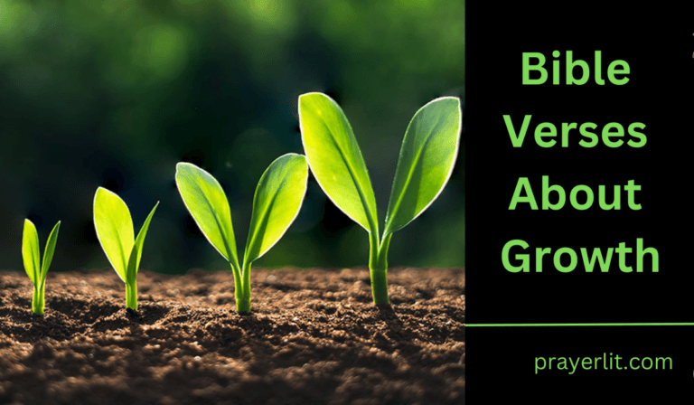 30 Most Effective Bible Verses About Growth (2026) - PrayerLit