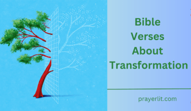 30 Powerful Bible Verses About Transformation (2025) - PrayerLit