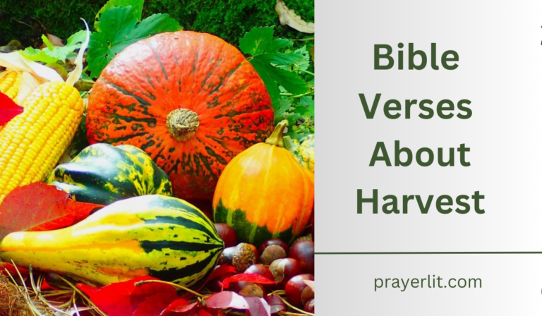 30 Powerful Bible Verses About Harvest (2025) - PrayerLit
