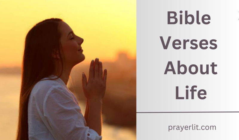 30 Powerful Bible Verses About Life (2025) - PrayerLit