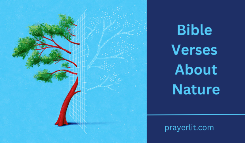 30 Most Beautiful Bible Verses About Nature (2025) - PrayerLit