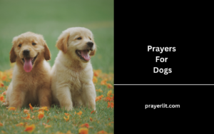 30 Amazing Prayers For Dogs (2026) - PrayerLit