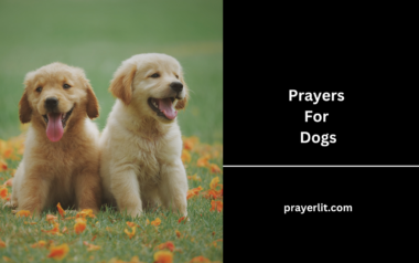 30 Amazing Prayers For Dogs (2026) - PrayerLit