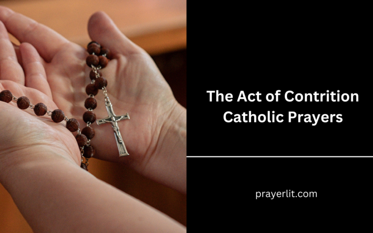 30 Powerful The Act of Contrition Catholic Prayers (2026) - PrayerLit
