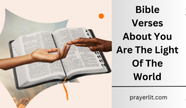 30 Inspirational Bible Verses About You Are The Light Of The World ...