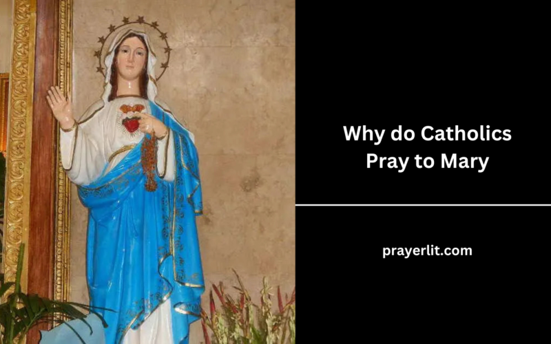 Efficient Guide on Why do Catholics Pray to Mary (2026) - PrayerLit