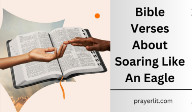 30 Powerful Bible Verses About Soaring Like An Eagle (2026) - PrayerLit