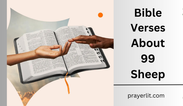 30 Most Effective Bible Verses About 99 Sheep (2025) - PrayerLit