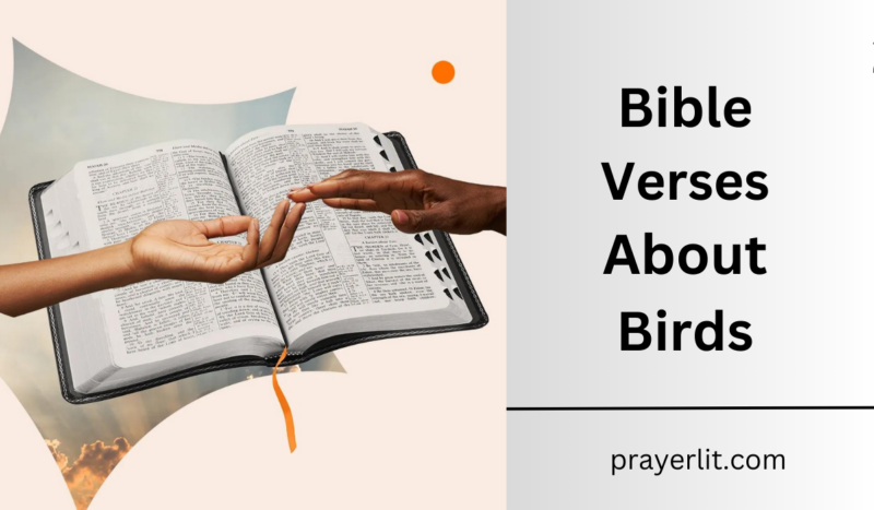 30 Most Effective Bible Verses About Birds (2026) - PrayerLit