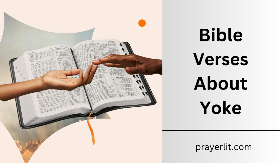 30 Powerful Bible Verses About Yoke (2025) - PrayerLit