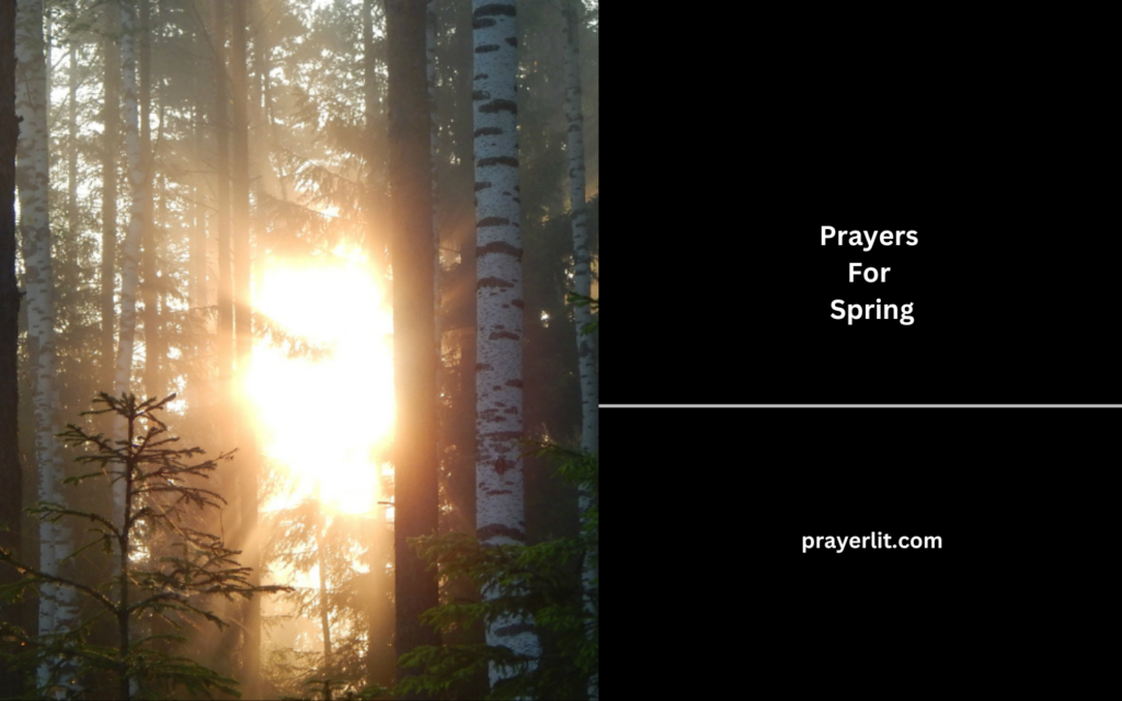 30 Efficient Prayers For Spring (2025) - PrayerLit