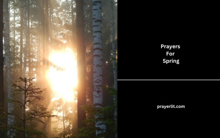 30 Efficient Prayers For Spring (2025) - PrayerLit