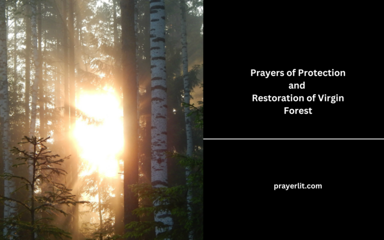 32 Most Powerful Prayers of Protection and Restoration of Virgin Forest ...
