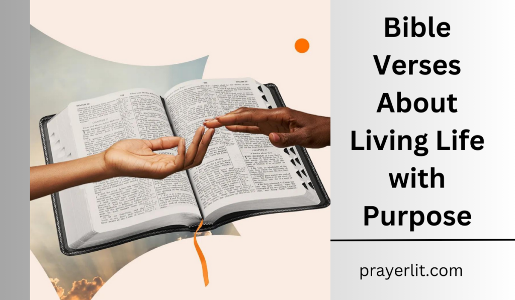 30 Powerful Bible Verses About Living Life With Purpose (2025) - PrayerLit