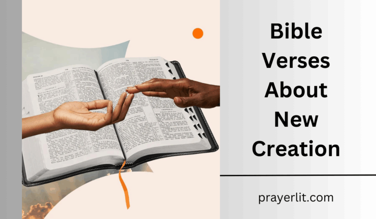 30 Inspiring Bible Verses About New Creation (2026) - PrayerLit