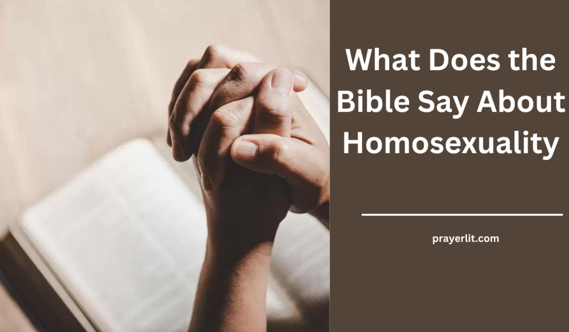 What Does The Bible Say About Homosexuality Prayerlit 1647