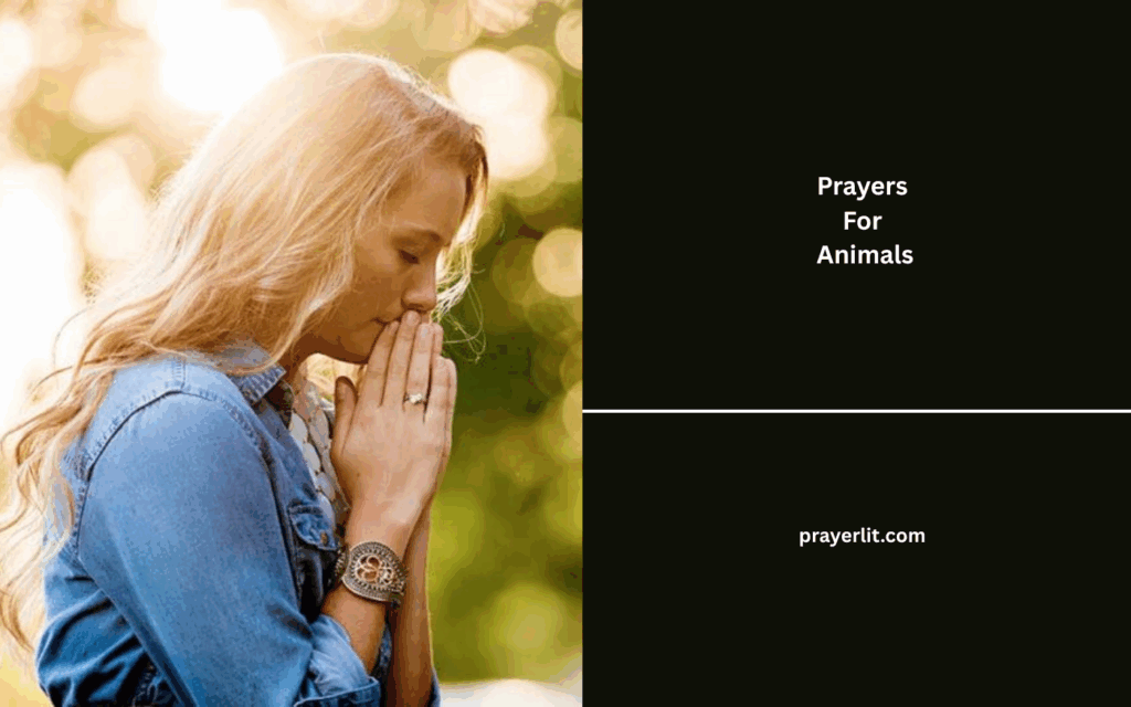 27 Amazing Prayers For Animals 2026 - PrayerLit