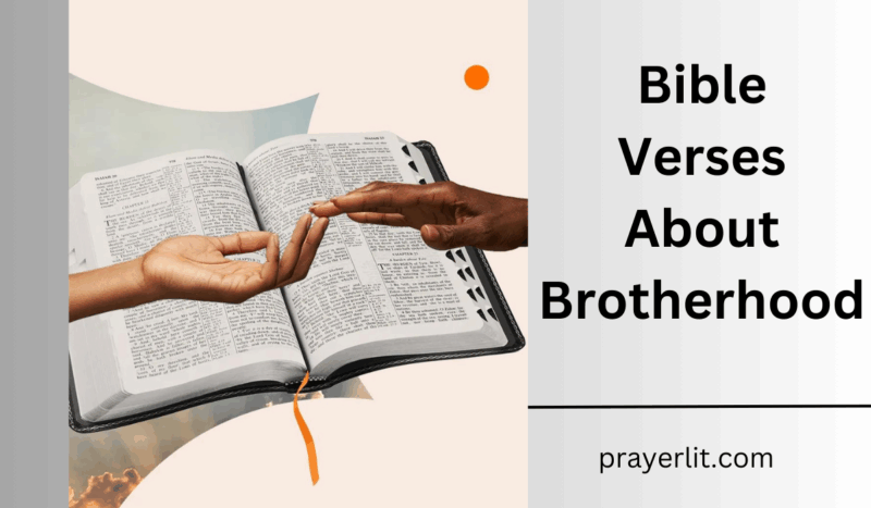 30 Uplifting Bible Verses About Brotherhood (2026) - PrayerLit
