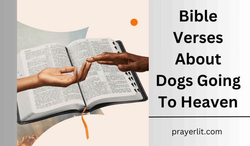 30 Powerful Bible Verses About Dogs Going To Heaven (2025) - PrayerLit