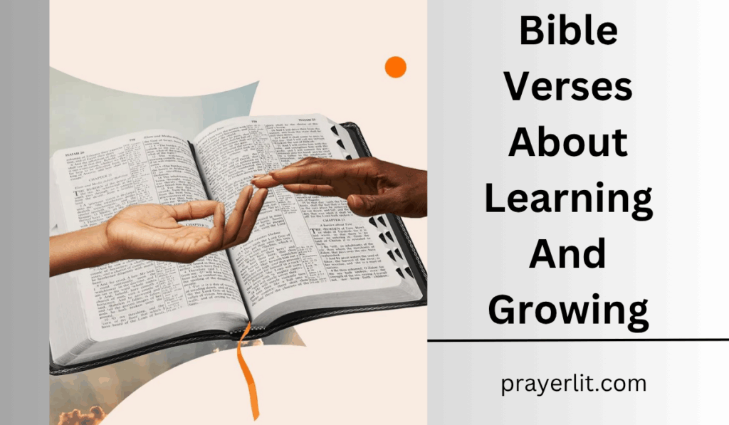 30 Most Effective Bible Verses About Learning And Growing (2025 ...