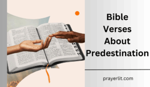30 Powerful Bible Verses About Predestination (2025) - PrayerLit