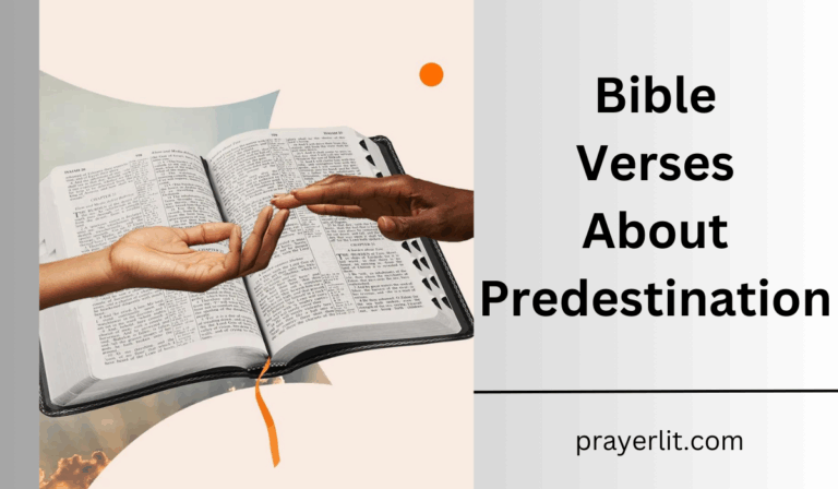 30 Powerful Bible Verses About Predestination (2025) - PrayerLit