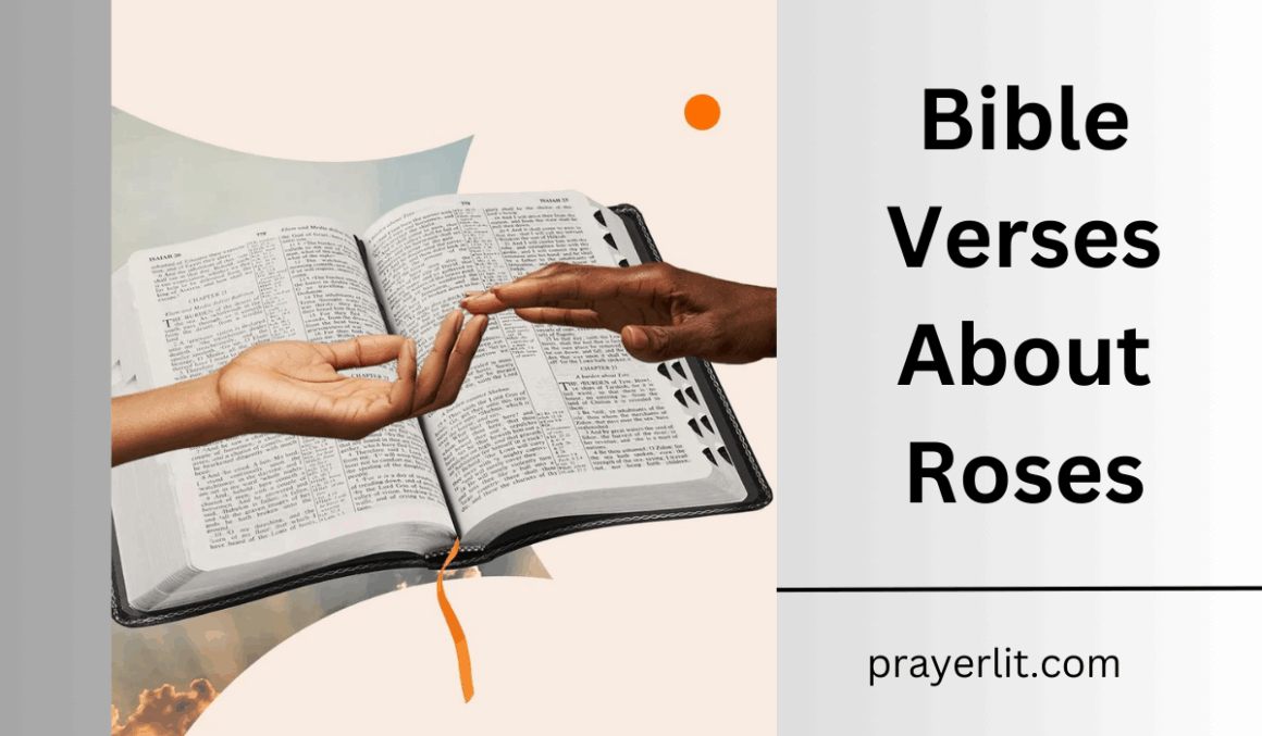 30 Most Effective Bible Verses About Roses (2026) - PrayerLit