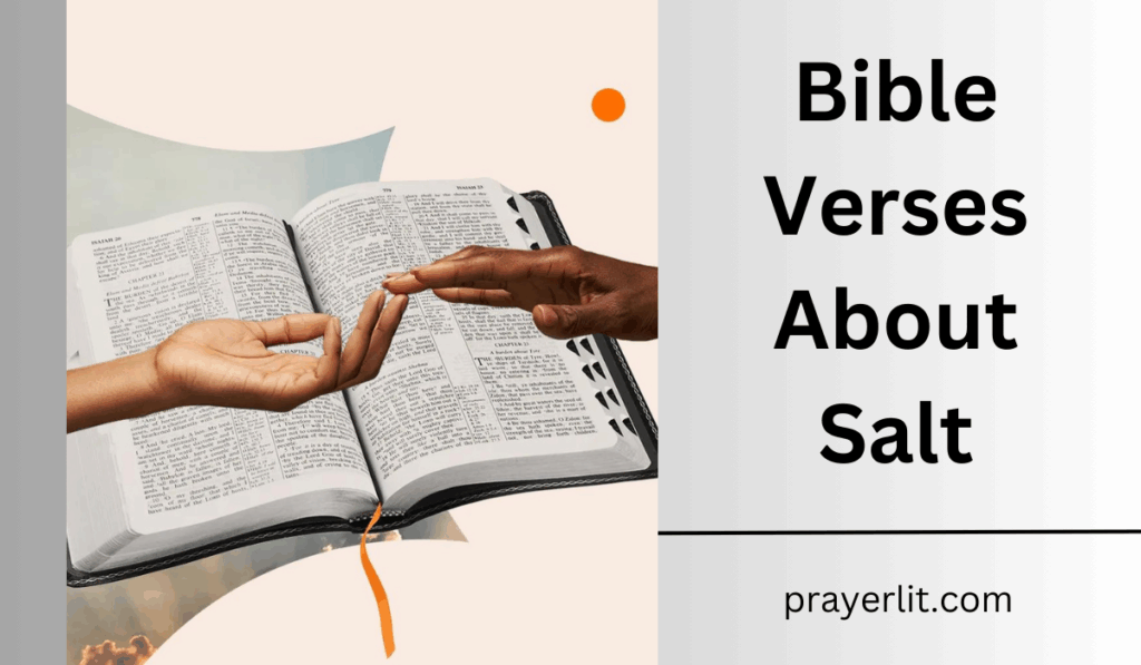 30 Powerful Bible Verses About Salt (2026) - PrayerLit