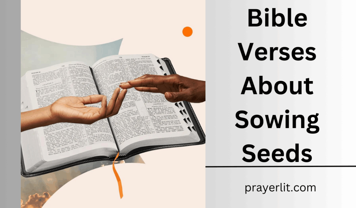 30 Inspiring Bible Verses About Sowing Seeds (2026) - PrayerLit