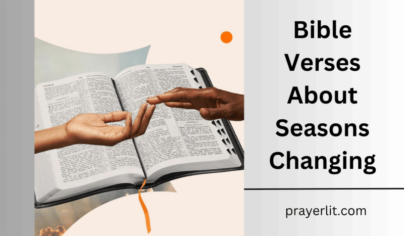 30 Powerful Bible Verses About Seasons Changing (2025) - PrayerLit