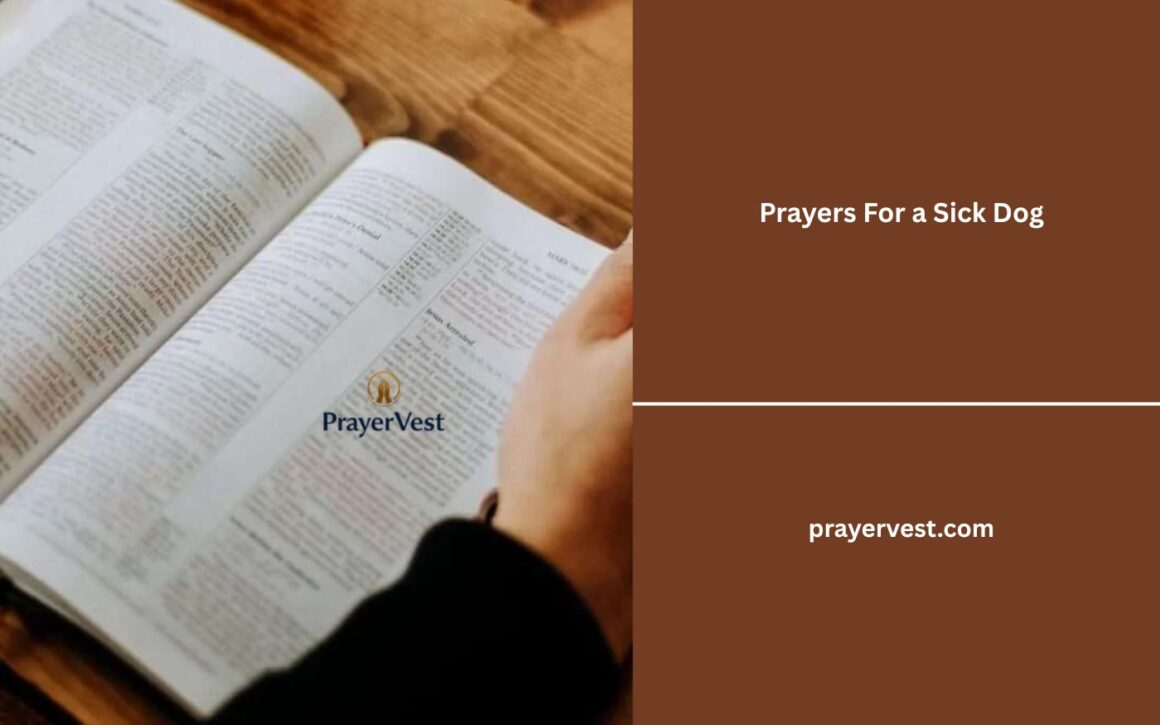 32 Effective Prayers For a Sick Dog (2025) - PrayerLit