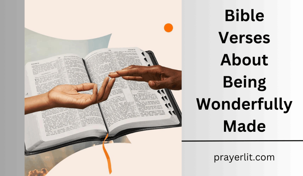 30 Most Effective Bible Verses About Being Wonderfully Made (2025 ...