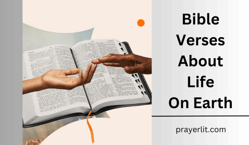 30 Powerful Bible Verses About Life On Earth - PrayerLit