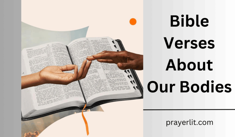 30 Powerful Bible Verses About Our Bodies (2025) - PrayerLit