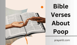 30 Powerful Bible Verses About Poop (2026) - PrayerLit
