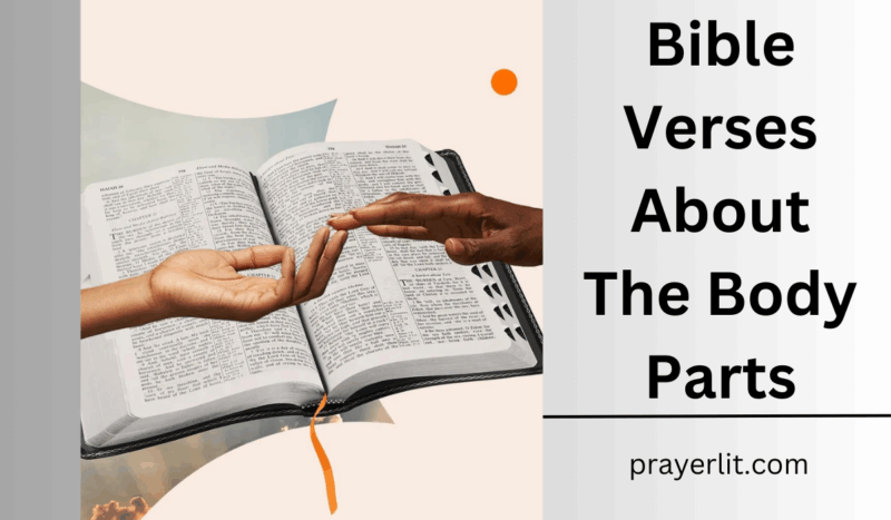 30 Most Effective Bible Verses About The Body Parts (2026) - PrayerLit