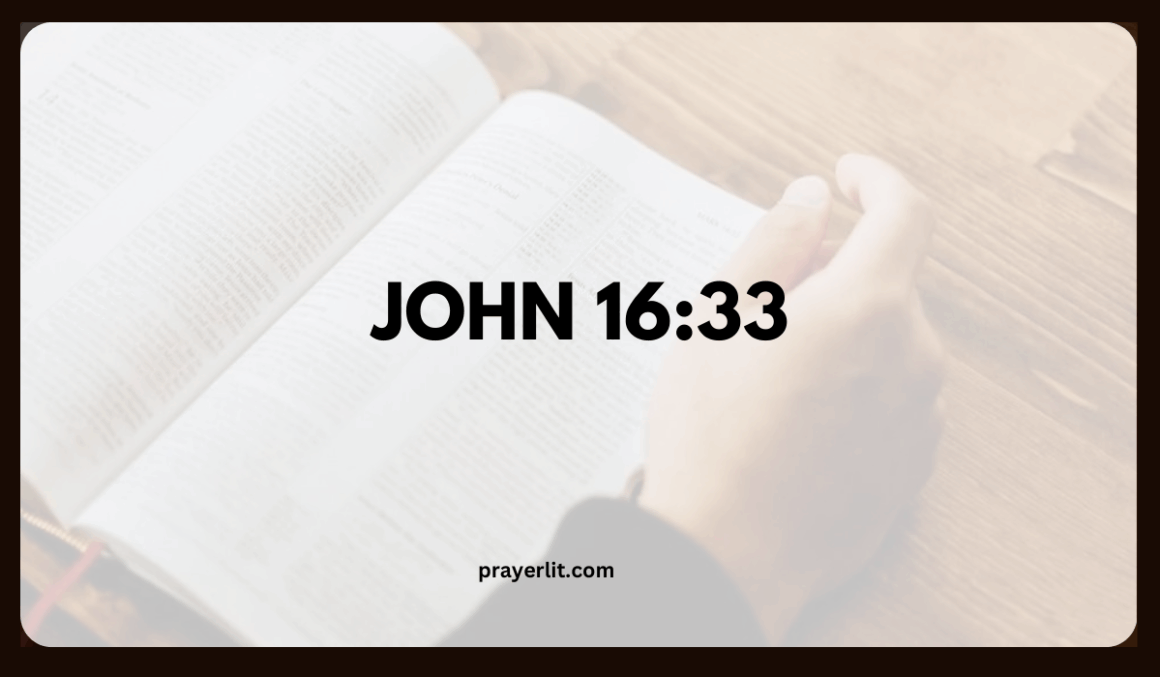 John 16:33 Meaning – "I Have Overcome the World"