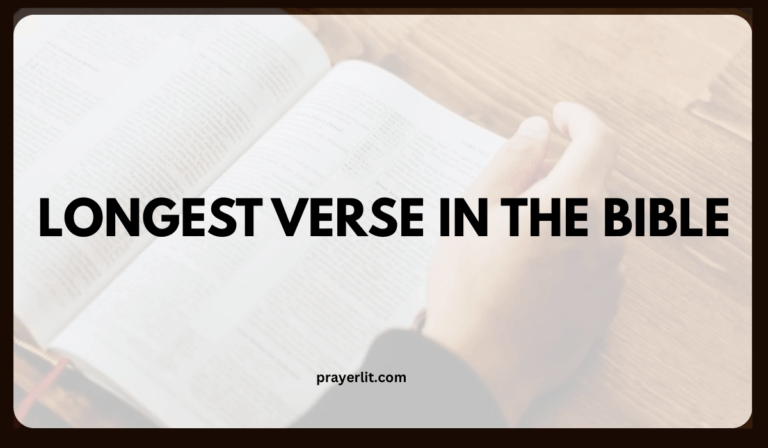 What is the Longest Verse in the Bible (New & Old Testament) - PrayerLit