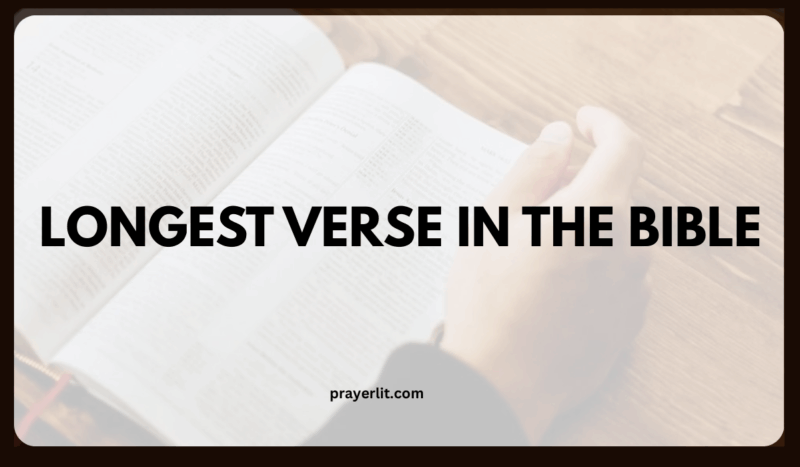 What is the Longest Verse in the Bible (New & Old Testament) - PrayerLit