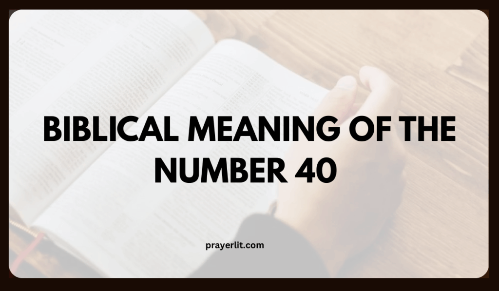 What Does the Number 40 Mean in the Bible? - PrayerLit