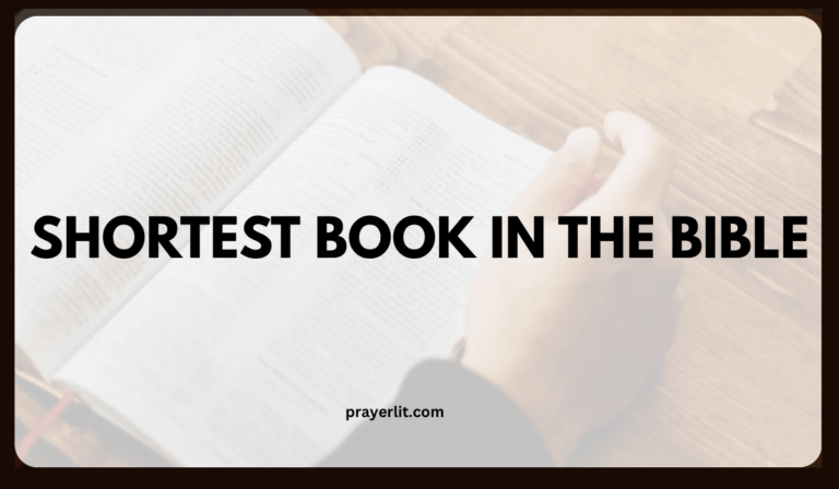 Shortest Books in the Bible (Old and New Testament) 2026 - PrayerLit