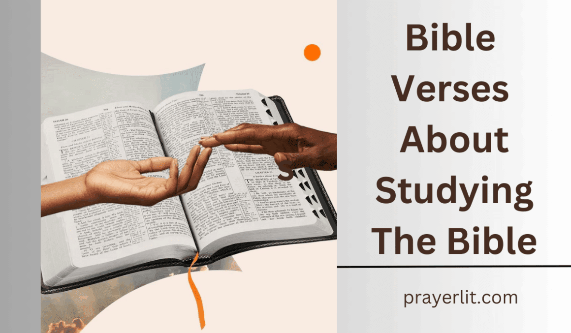 30 Most Effective Bible Verses About Studying The Bible (2026) - PrayerLit
